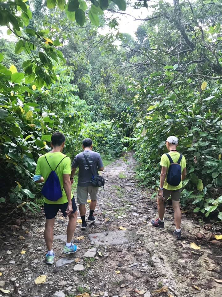 8.7km 2Hrs 33Mins Early Morning Walk @ Chestnut Nature Park on ...