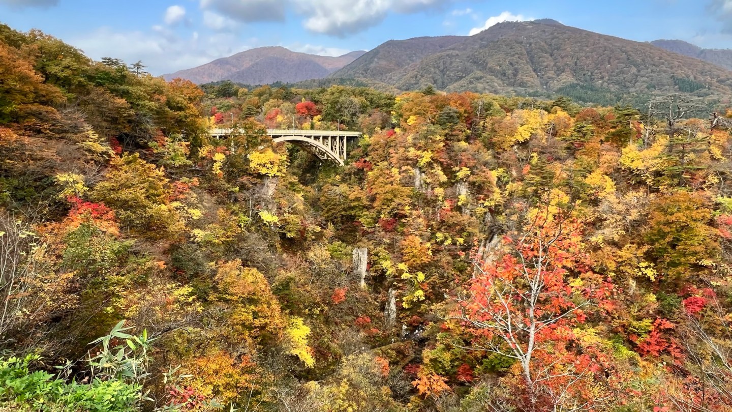 旧梦随风 Old Dreams Drift with the Wind – c.h.e.f